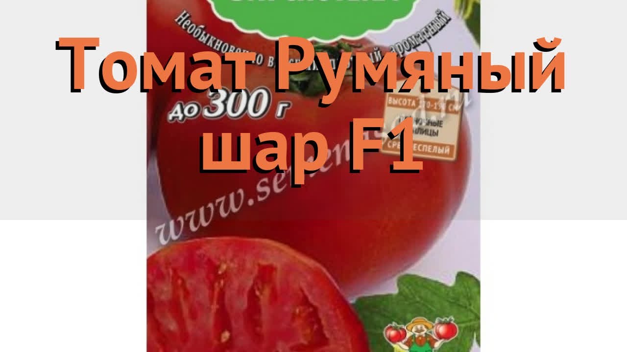 Томаты Пень Описание Сорта Фото Отзывы – Telegraph
