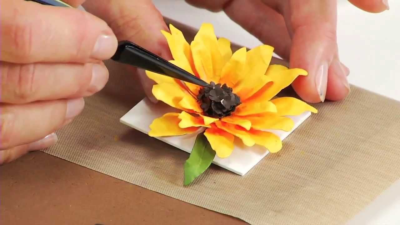 How To Use Sizzix Bigz Black Eyed Susan Flower Die 658422 YouTube how-to-use-sizzix-bigz-black-eyed-susan-flower-die-658422-youtube