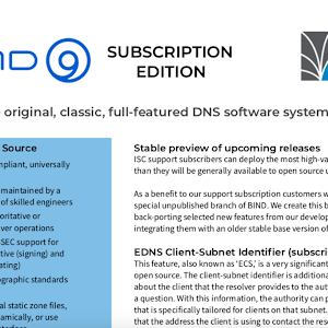 edns client subnet bind