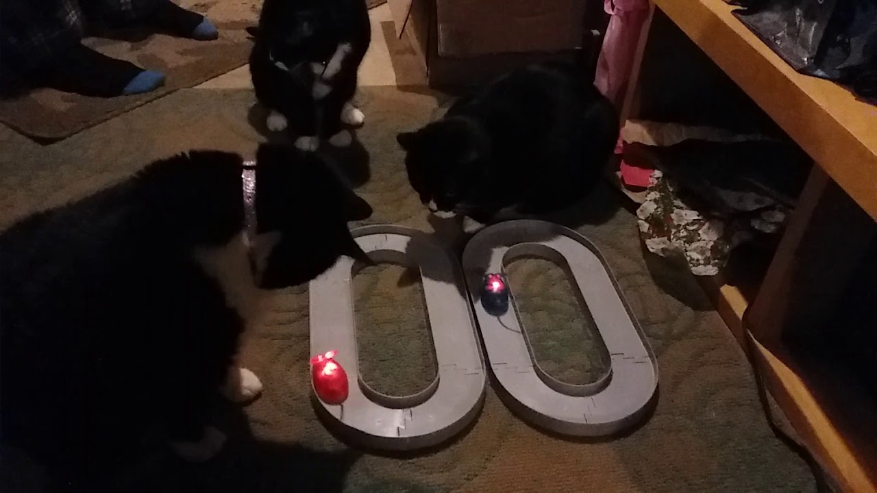 Robot Mouse Races! Extras Part 1 - YouTube