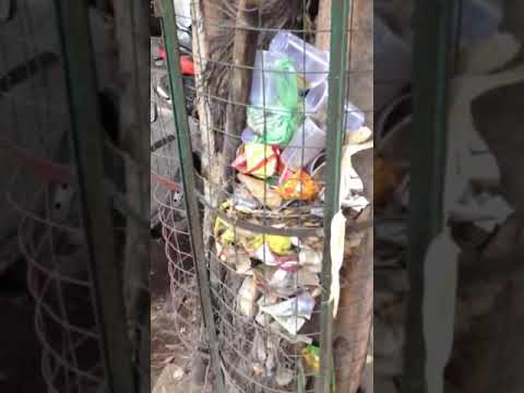 😞👉Ped (Tree) lagane se dur rhe log pedo (tree's) Ko kudedan (dustbin ...
