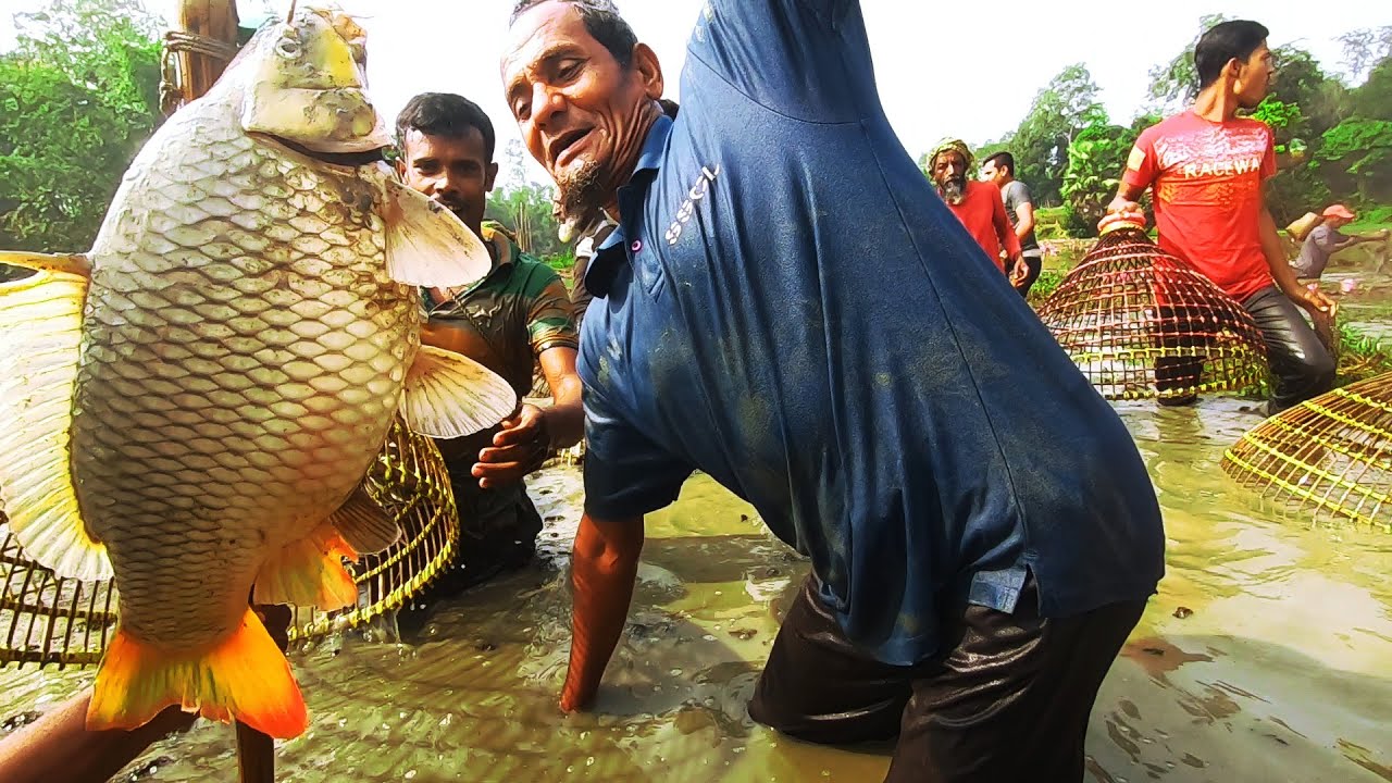 Amazing Big Fish Hunting By Polo | Unique Fishing From Village Bill ...