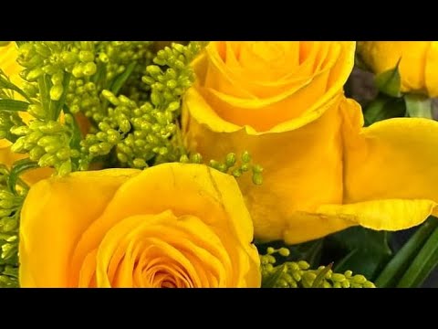 BLESS ANOTHER DAY ON EARTH by Anthony M. Leonard - YouTube