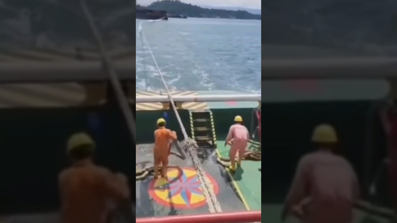 SHIIIIIIT #funny #shorts #edit - YouTube