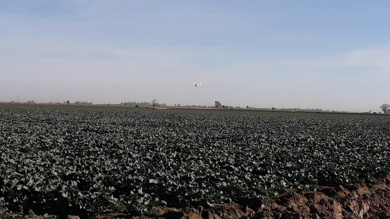 Aerofumigacion Grumman Ag-Cat Ejido Colima - YouTube