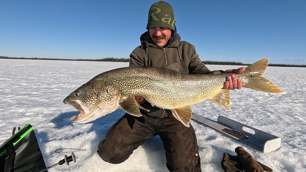20lb+ Lake Trout On The Firehouse Tip-up! - YouTube