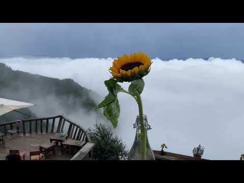 Ta Xua - Oct 26, 2023