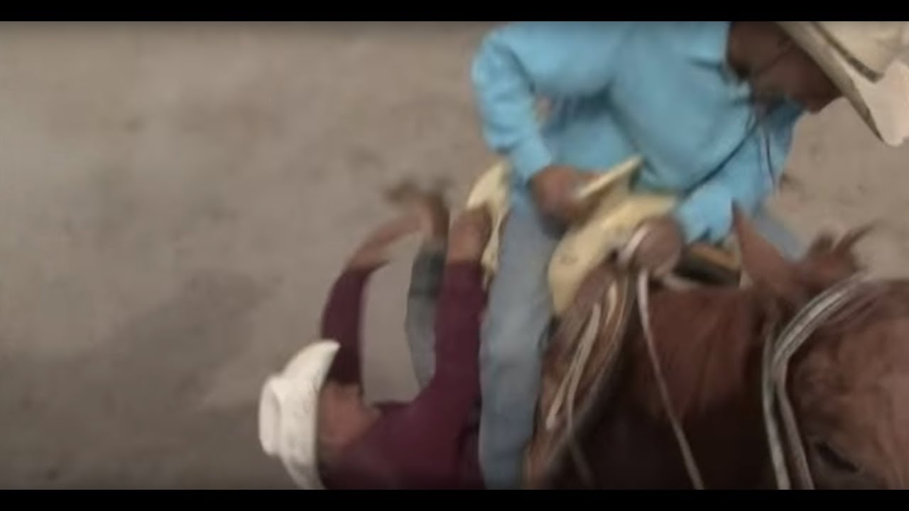 51 - Lo Mejor de los Coleaderos - Byer, Colorado - YouTube