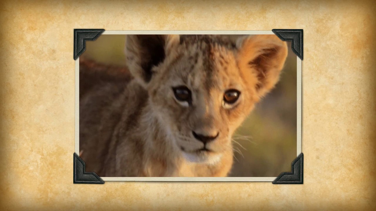 Trump sons (Donald, Jr. & Eric) African hunting expedition! - YouTube