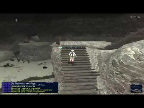 FFXI - [Horizon] WHM/BLM rescue of white mage burn party member in ...