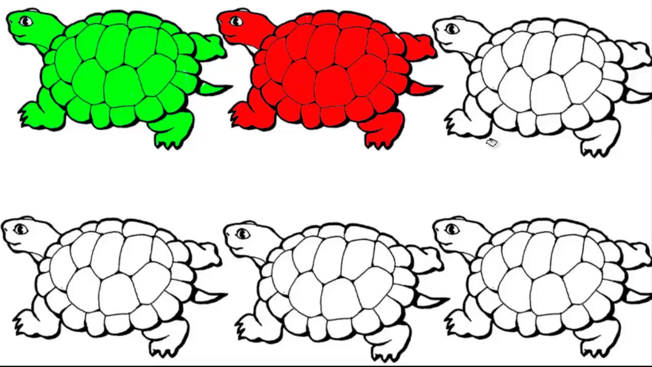 Learn Colors TURTLES Coloring Book How To Color By HiBaby YouTube Learn Colors TURTLES Coloring Book How To Color By HiBaby YouTube