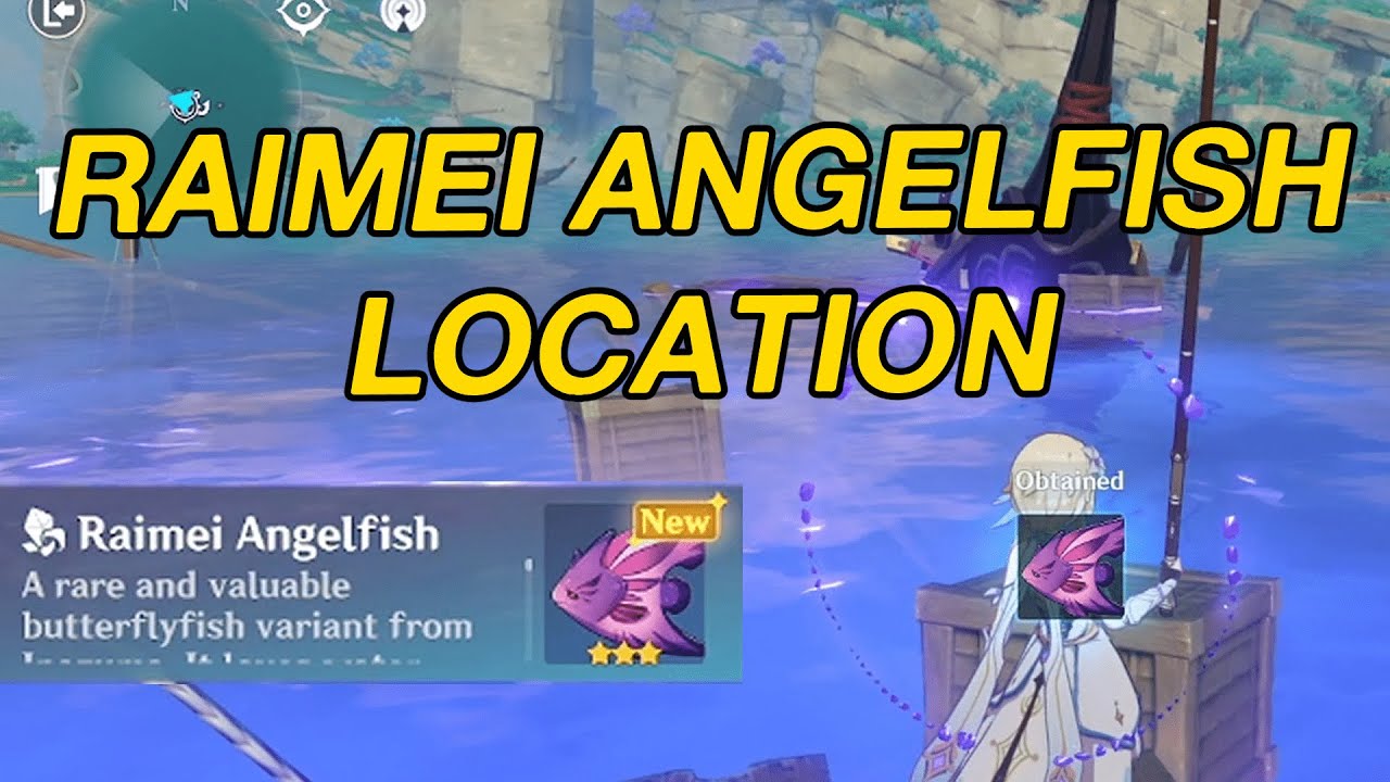 Raimei Angelfish Location - Genshin Impact - YouTube