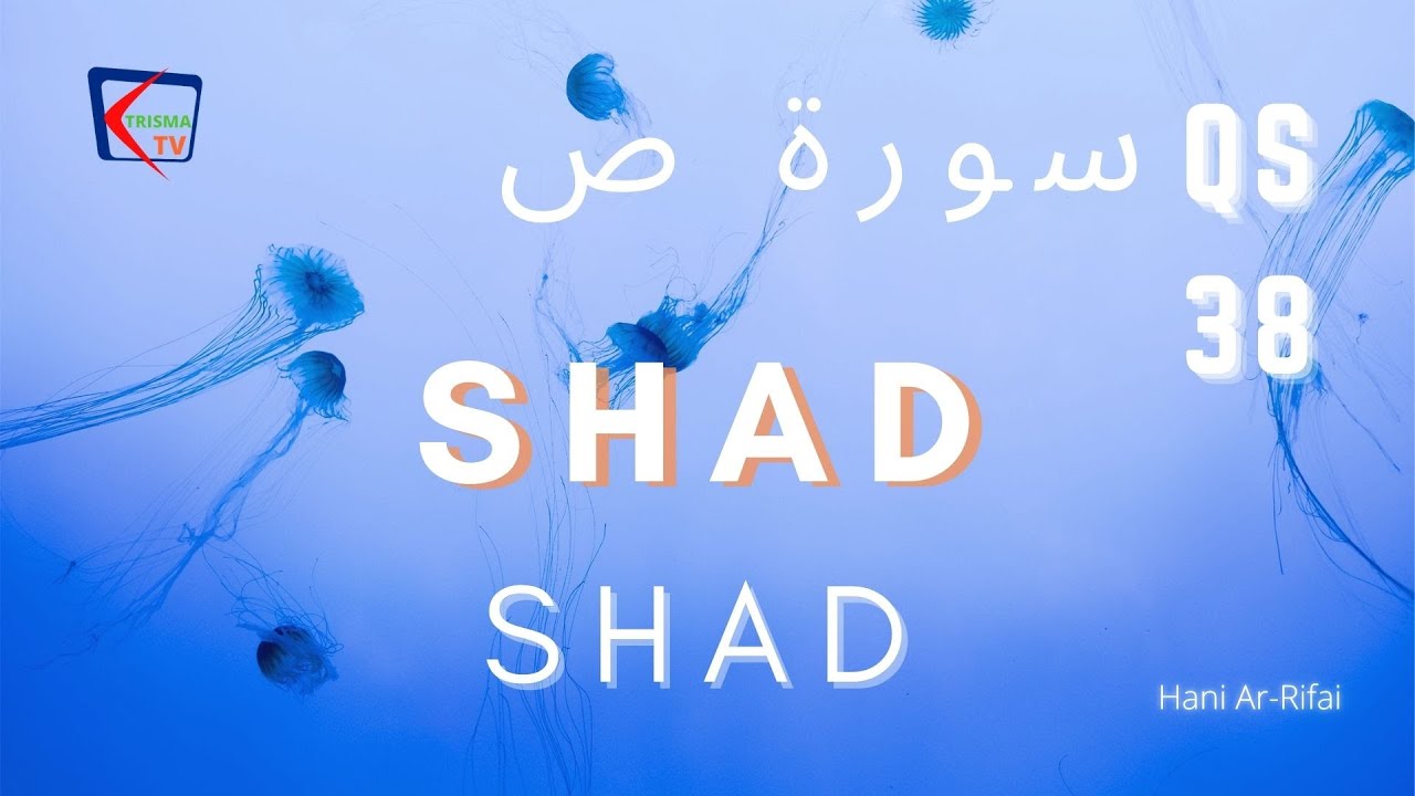 038 | Shad - YouTube