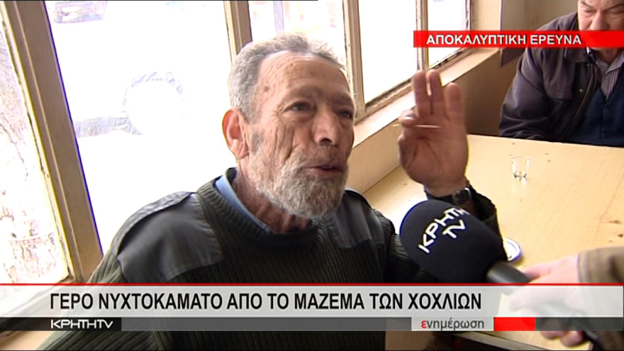 ''ΧΡΥΣΗ ΜΠΙΖΝΑ'' ΟΙ ΧΟΧΛΙΟΙ ΓΙΑ ΤΟΥΣ ΚΡΗΤΙΚΟΥΣ - YouTube