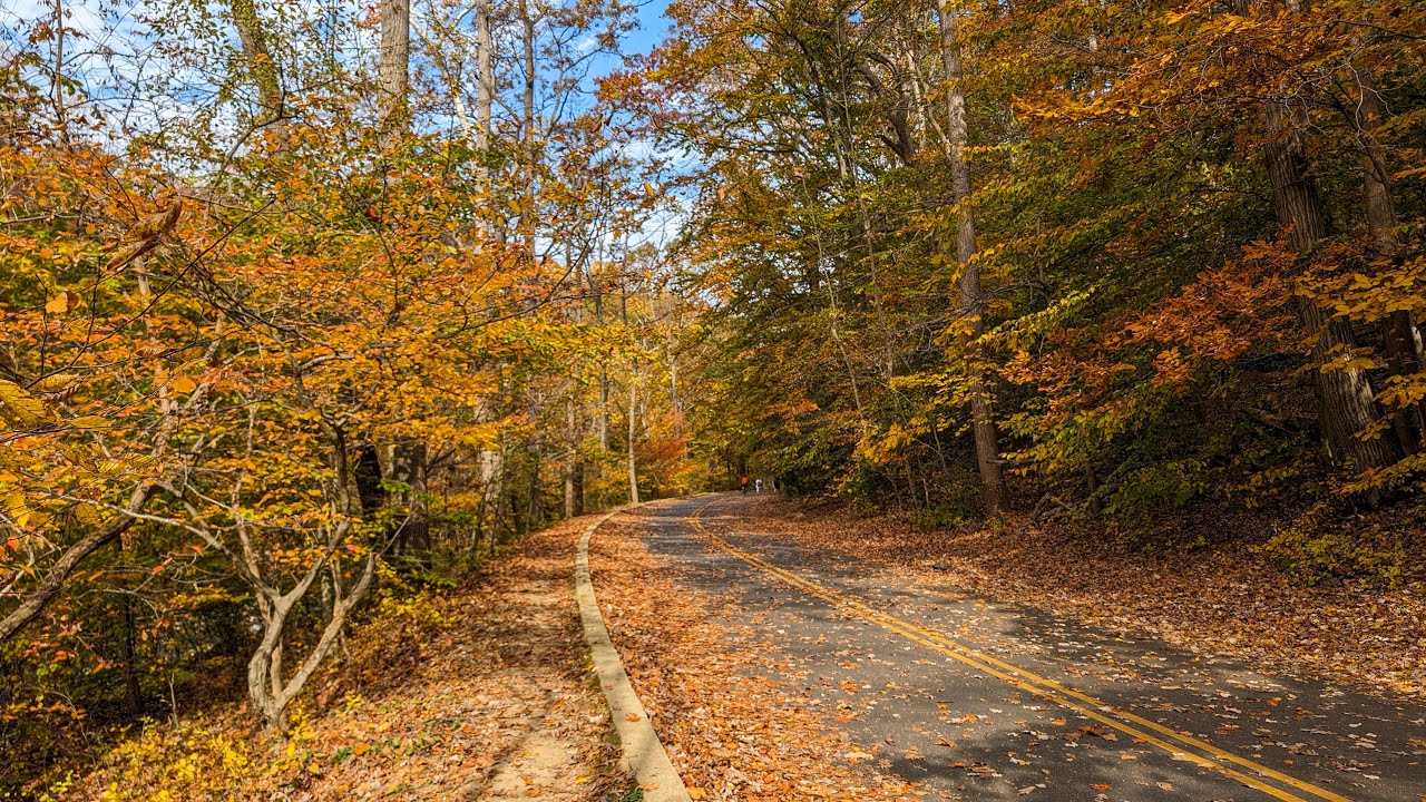 [4k] Beautiful Autumn Colors in Washington DC 🍁 Rock Creek Park Fall ...