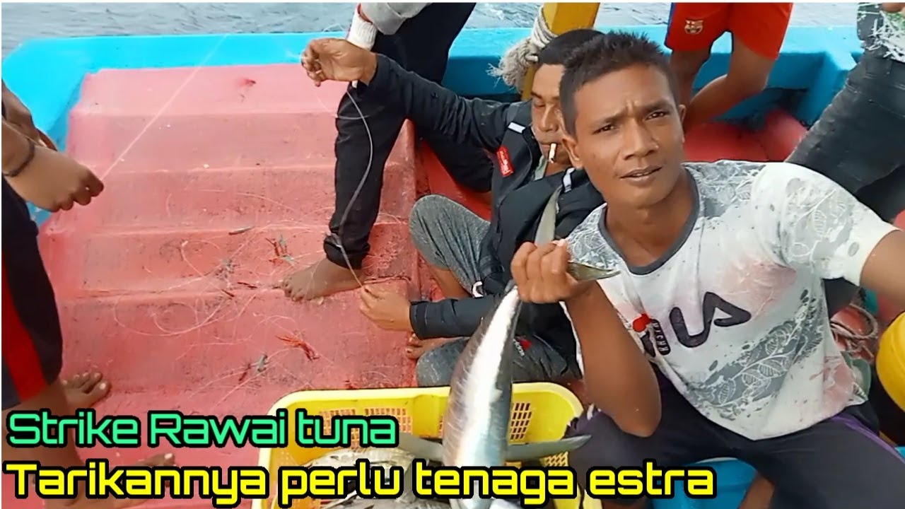 Strike Rawai tuna, tarikannya perlu tenaga estra - YouTube