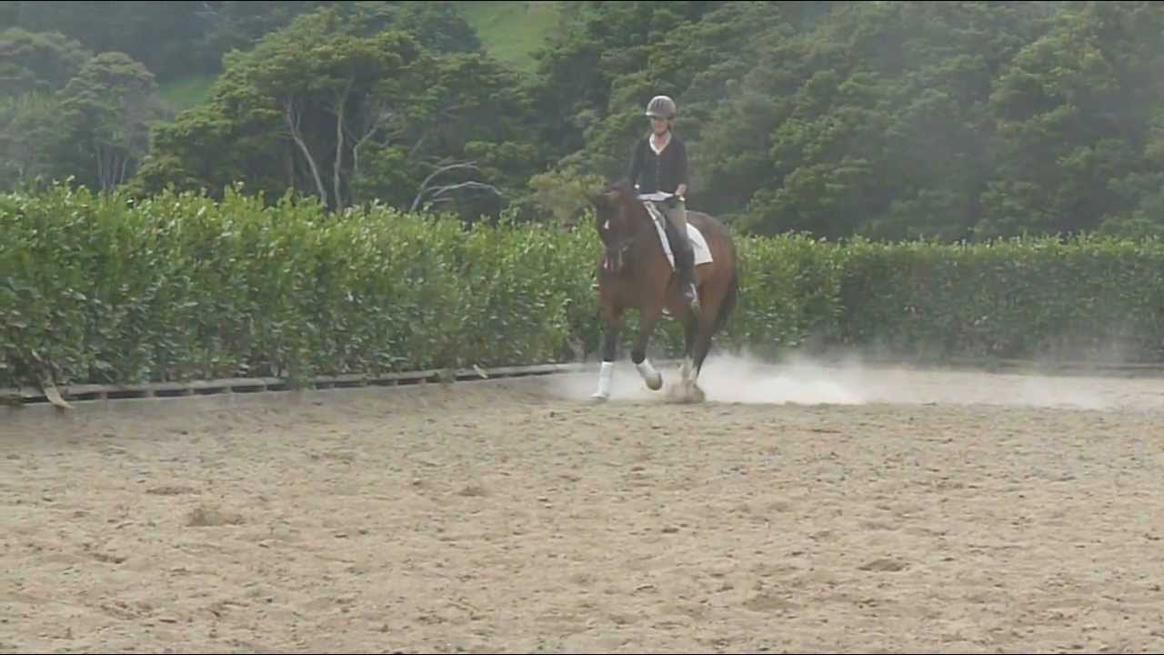Trot into left rein canter - YouTube