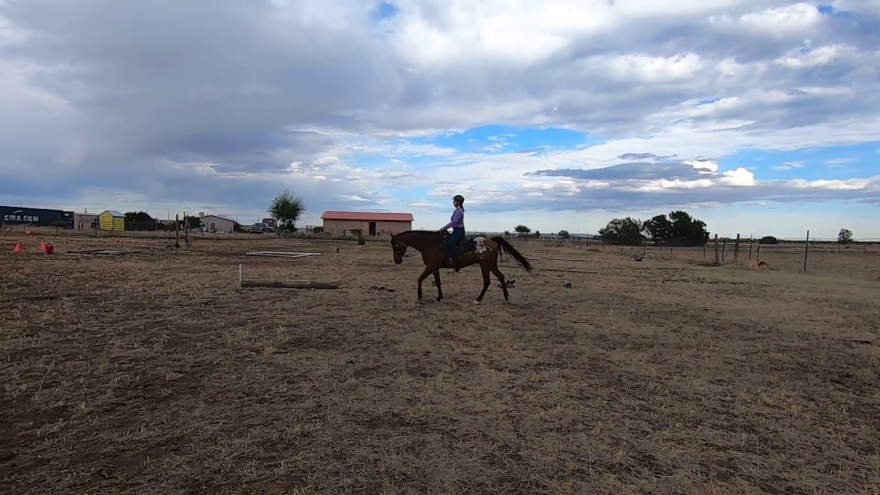 Pattern Palooza Class 17 WT Ranch Riding Adult - YouTube