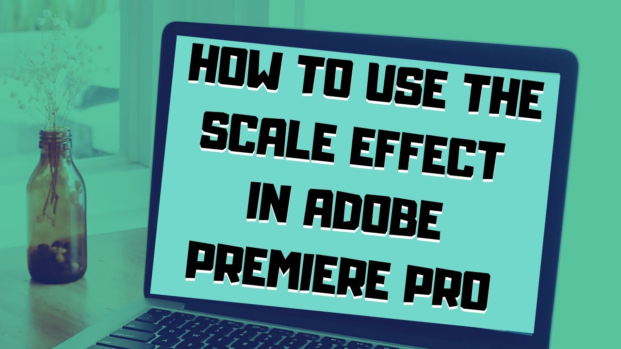 How To Use The Scale Effect in Adobe Premiere Pro - YouTube
