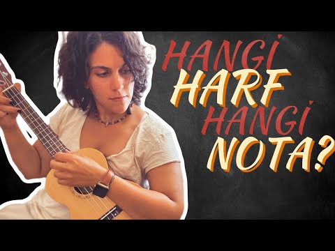 Nota Harflerinin Anlamları: Yeni Başlayanlar için Rehber