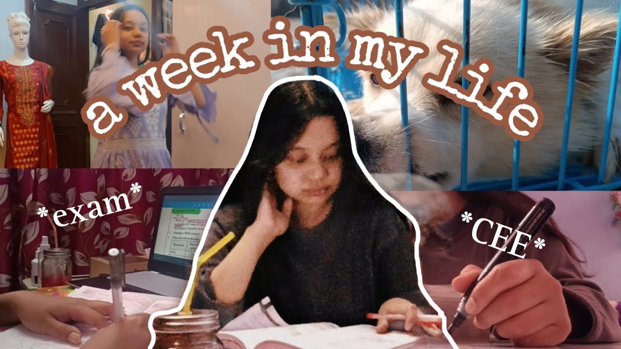 STUDY VLOG 📚 || a week in my life *CEE Aspirant* : studying, playing ...