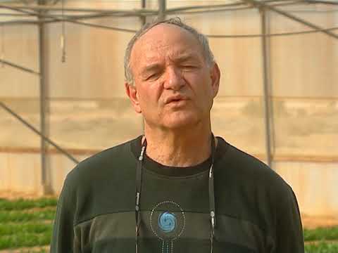 Prof Moshe Sagi - YouTube