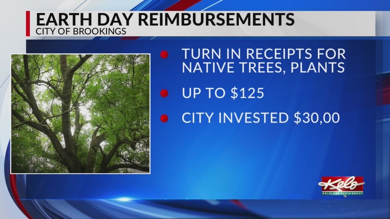 Plant a tree, get $125: Brookings’ incentive program - YouTube