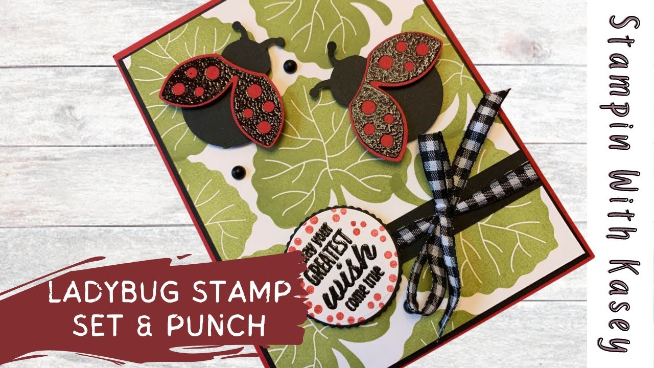 Card Tutorial for Hello Ladybug Stamp Set | Ladybug Builder Punch ...