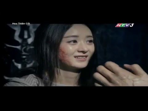 HoaThienCot43HTV3LongTieng