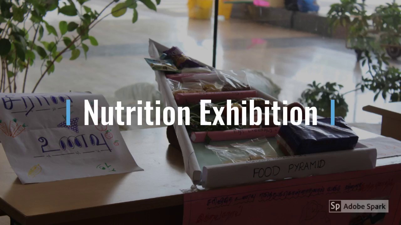 Nutrition Exhibition DOCM DSMC - YouTube