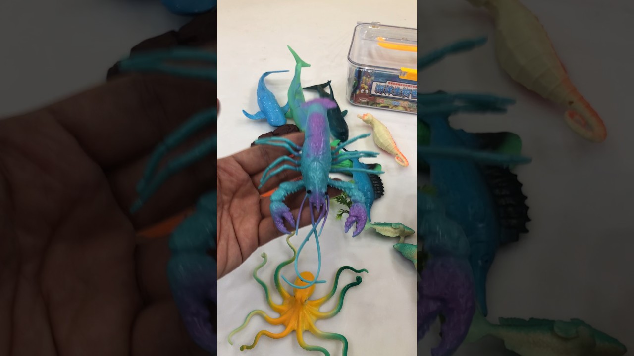 Box animals sea - YouTube