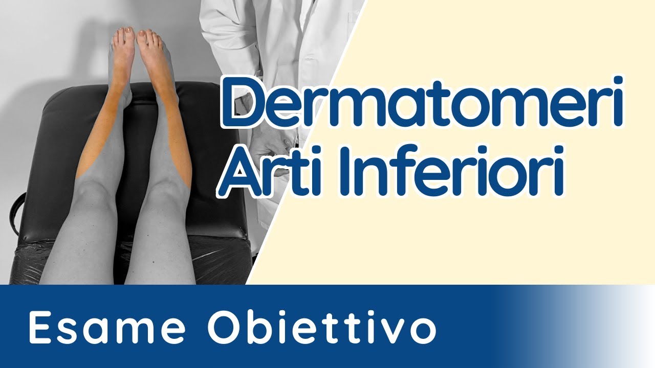 Dermatomeri Arti Inferiori - Esame Neurologico - YouTube