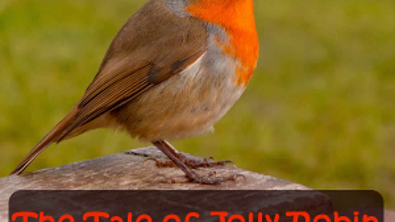 The Tale of Jolly Robin by Arthur Scott BAILEY read by Various | Full ...