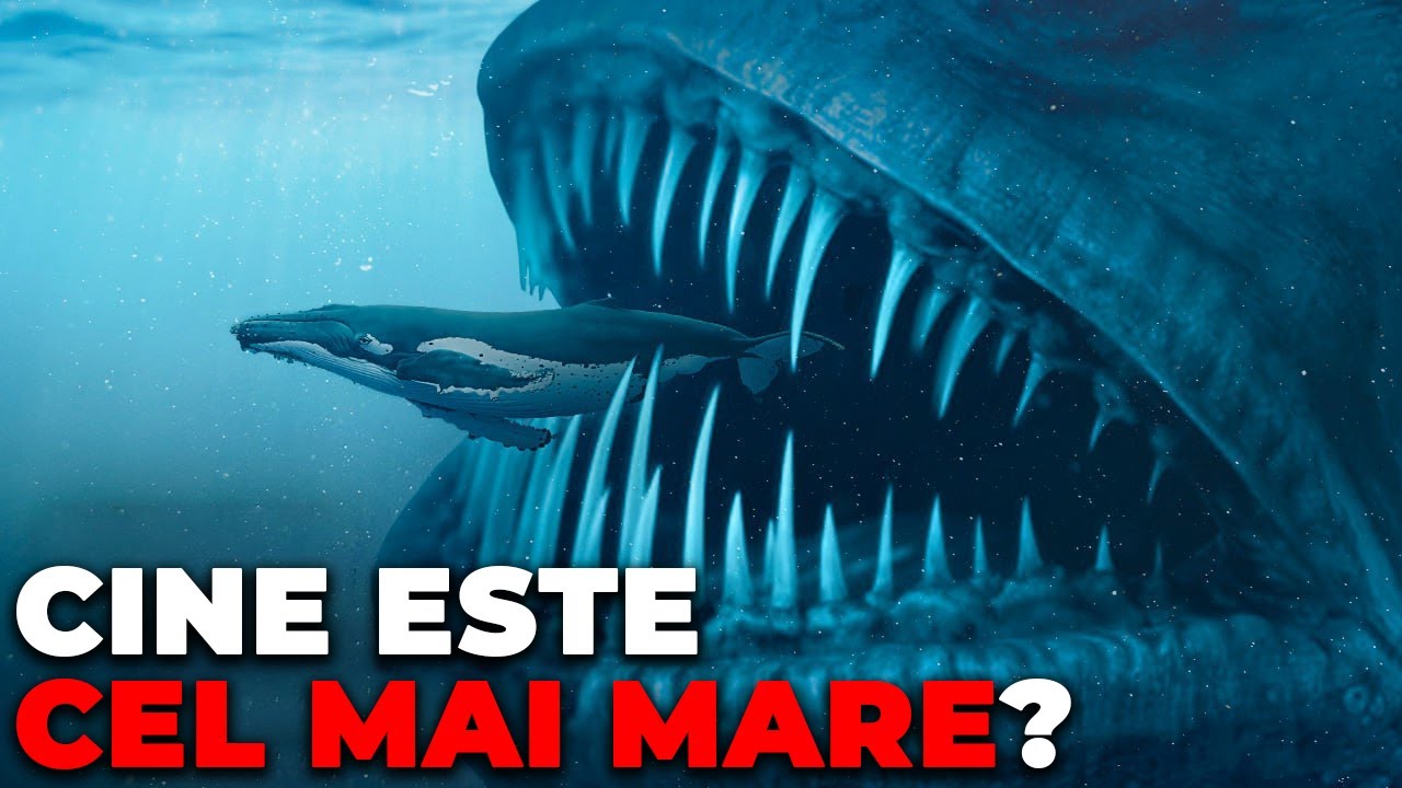 Cele Mai MARI Creaturi Care Au Existat Vreodata Pe Pamant - YouTube