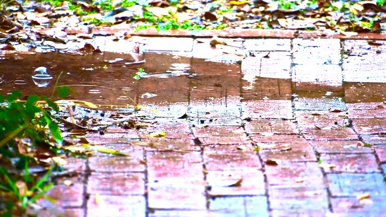 Rain on Bricks - YouTube