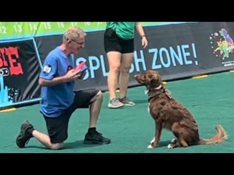 Tweetsie K9s in Flight. Full Show 2023 - YouTube