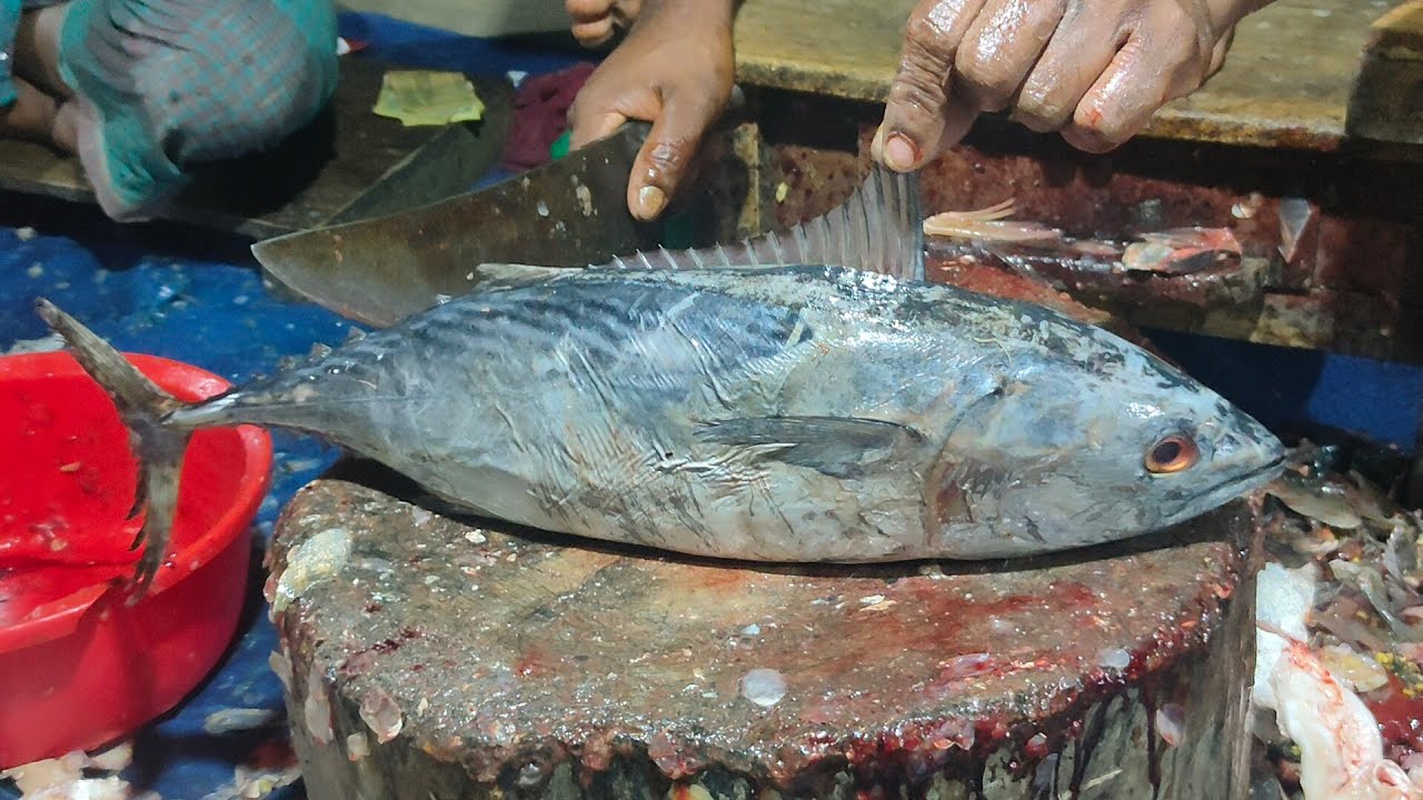Bluefin Tuna Fish Cutting In Bangladesh Fish Market | Fish Cutting In ...