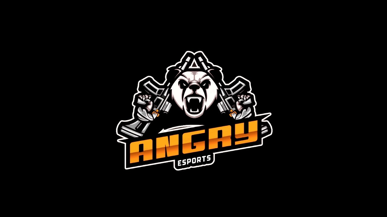 ANGRY ESPORTS | PAID $ ROOMS | BGMI TOURNAMENT LIVE 🔥 - YouTube
