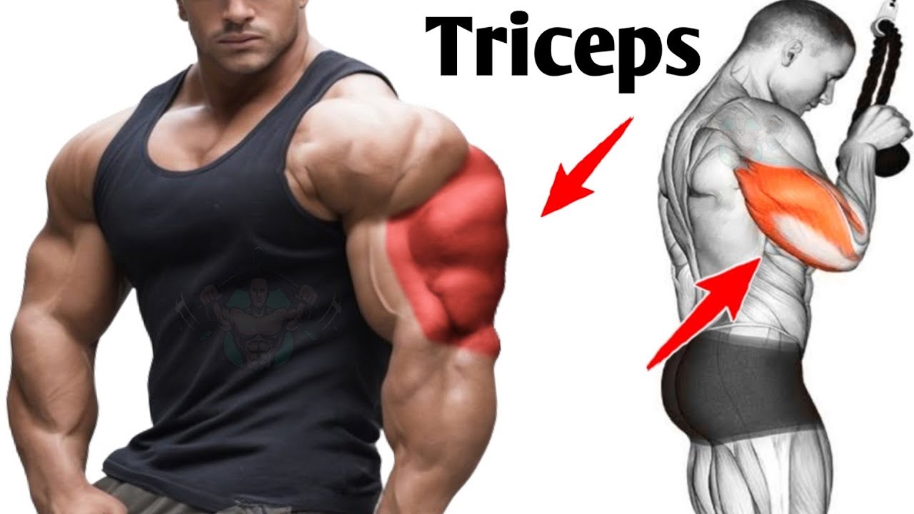 Best Exercises To Get Big Triceps Workout ! - YouTube