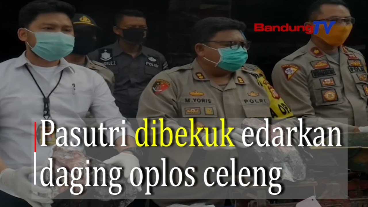 Jual Daging Oplosan Sapi Dan Babi, Pasutri Diciduk Polisi | SBR ...