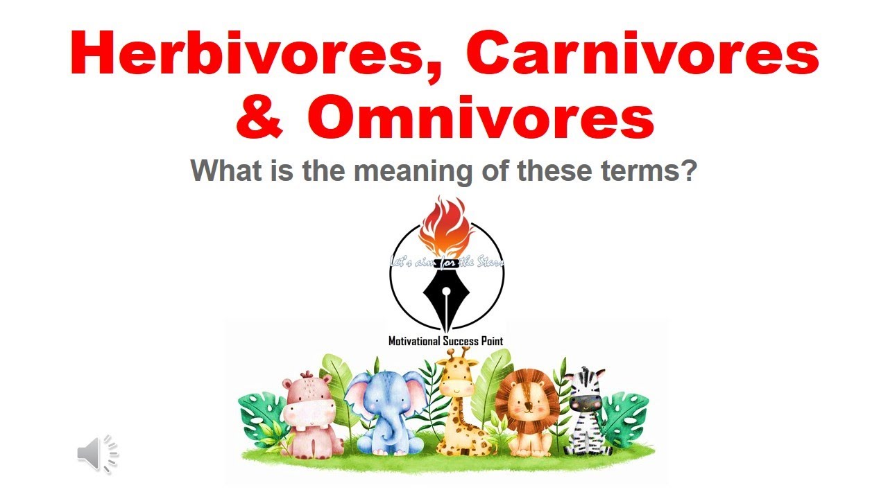 Herbivores, Carnivores & Omnivores | Types of Animals & their food ...