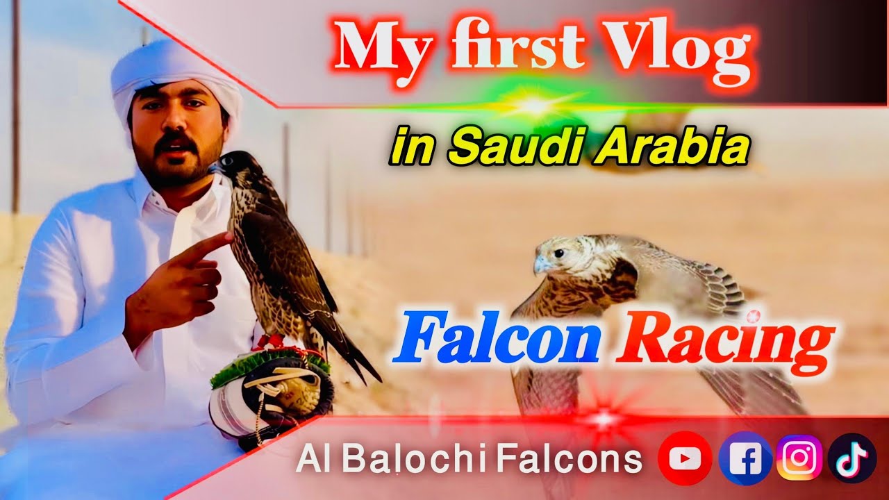 my first Vlog in Saudi Arabia, Falcon racing #albalcohifalcons # ...