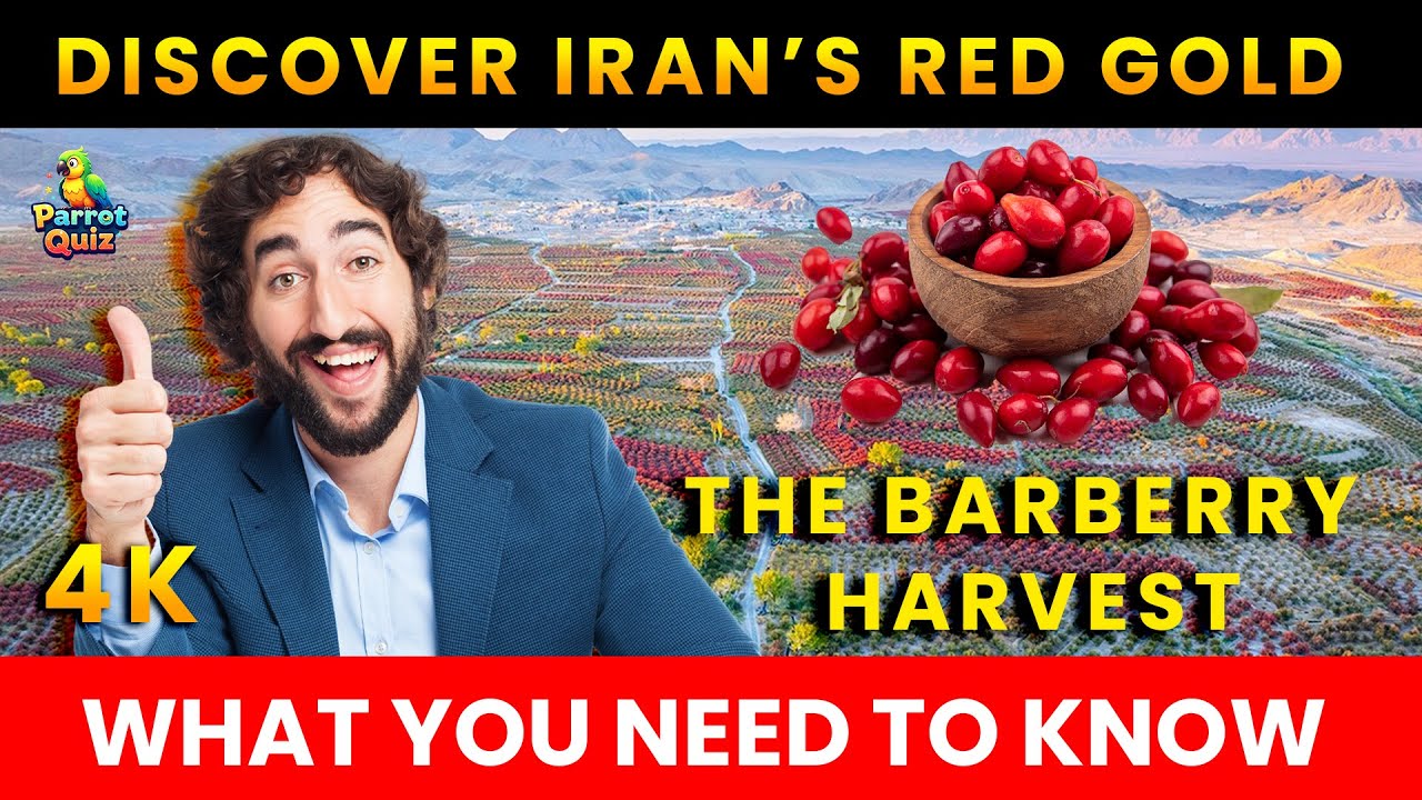 Iran's Hidden Treasure: Exploring the World’s Largest Barberry Farms ...