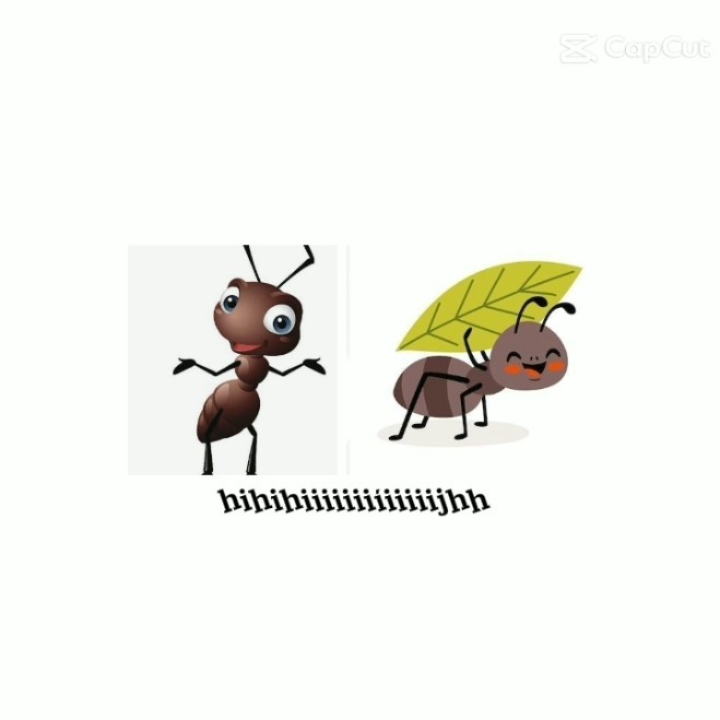 #memes duas formigas se encontraram 🐜 - YouTube