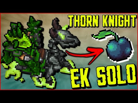 TIBIA Como fazer THORN KNIGHT SOLO 600+ (Forgotten Knowledge BOSS ...