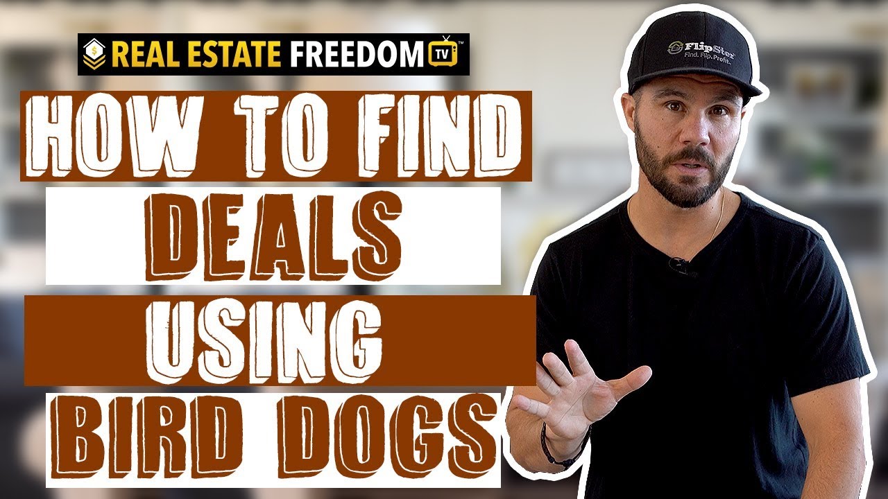 How To Find Deals Using Bird Dogs | Find the BEST deals FAST! - YouTube