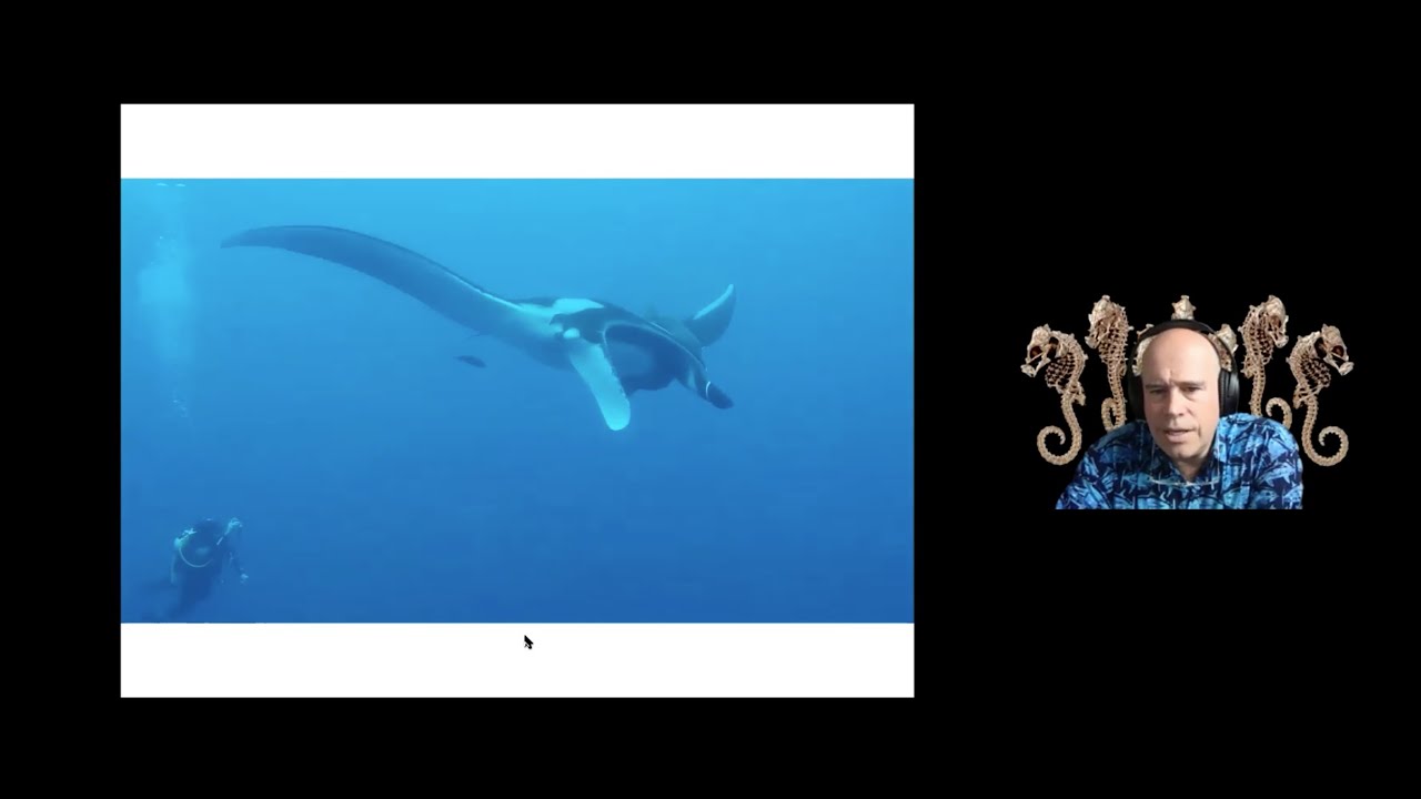 Fish, Friday Harbor Lab, Biomechanics and Finding Nemo with Dr. Adam ...