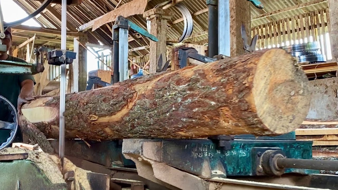 This is how to cut pine wood using a bandsaw - pine is processed in a ...