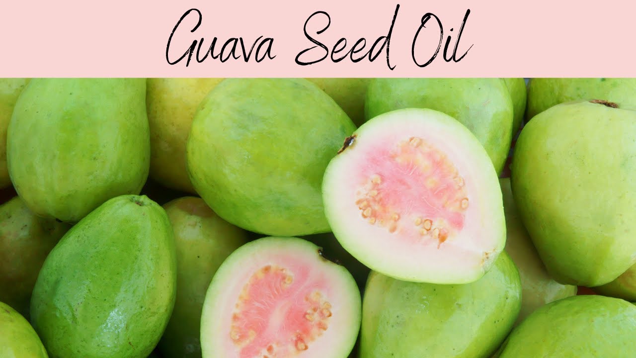 Guava Oil, INCI: Pisidium Guajava Oil. Chlorogenic, Lycopene Rich ...