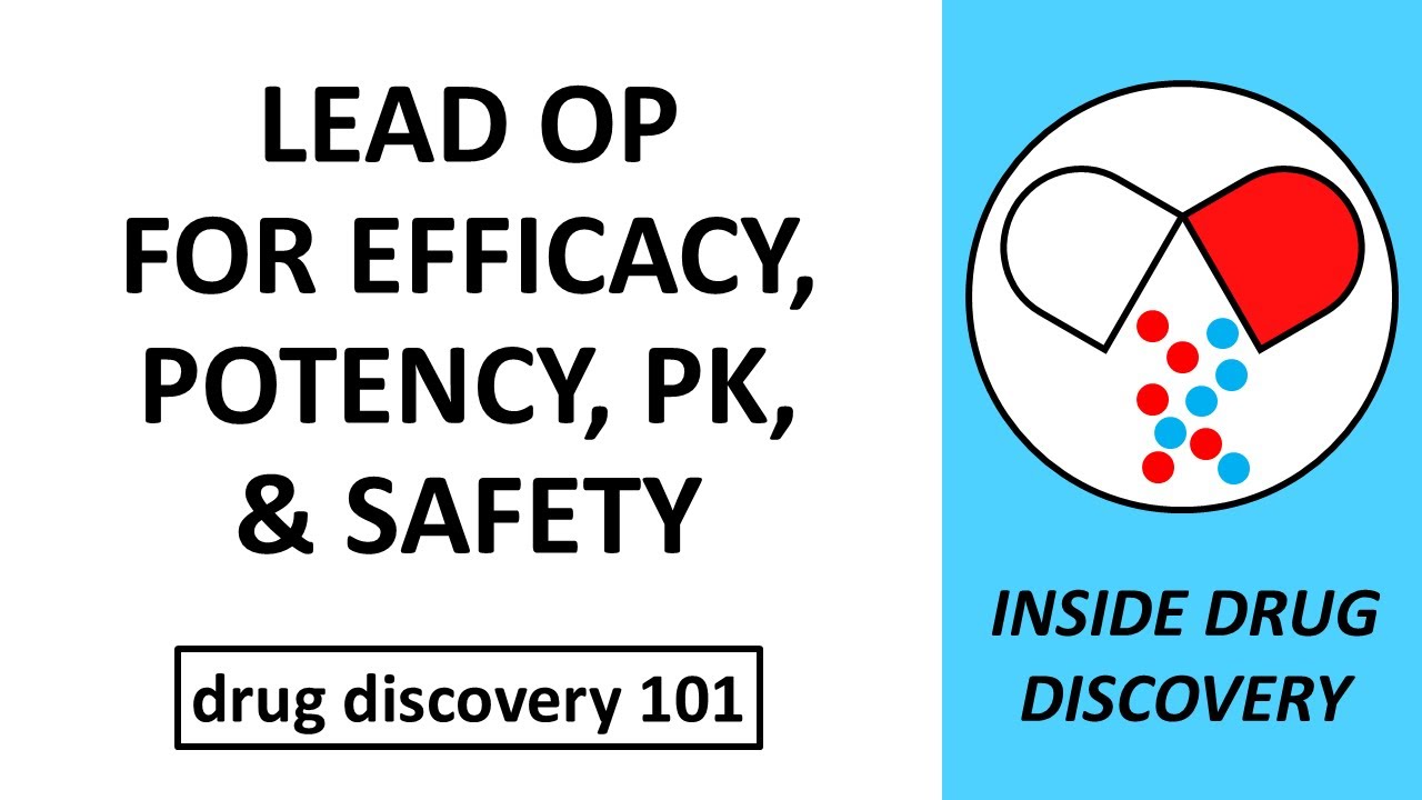 lead optimization for efficacy, potency, PK, & safety - YouTube